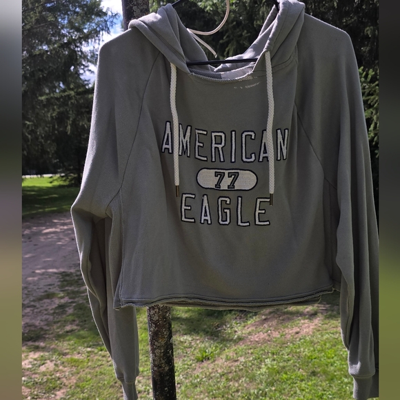 American Eagle Outfitters | Tops | American Eagle Crop Top | Poshmark